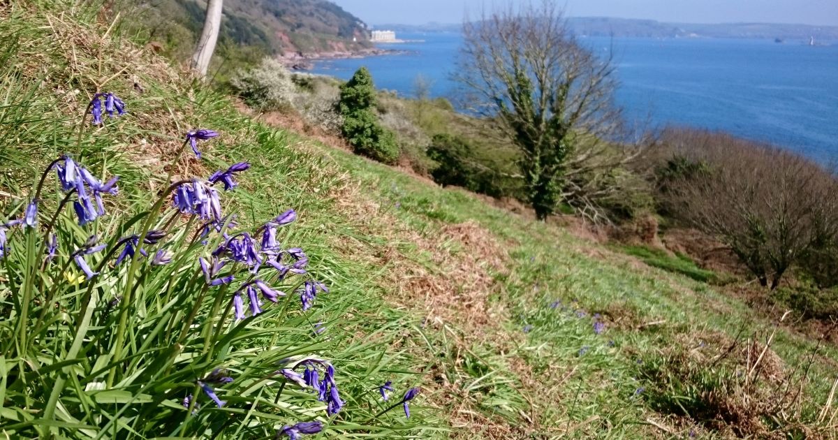 Rame circular - Ramblers